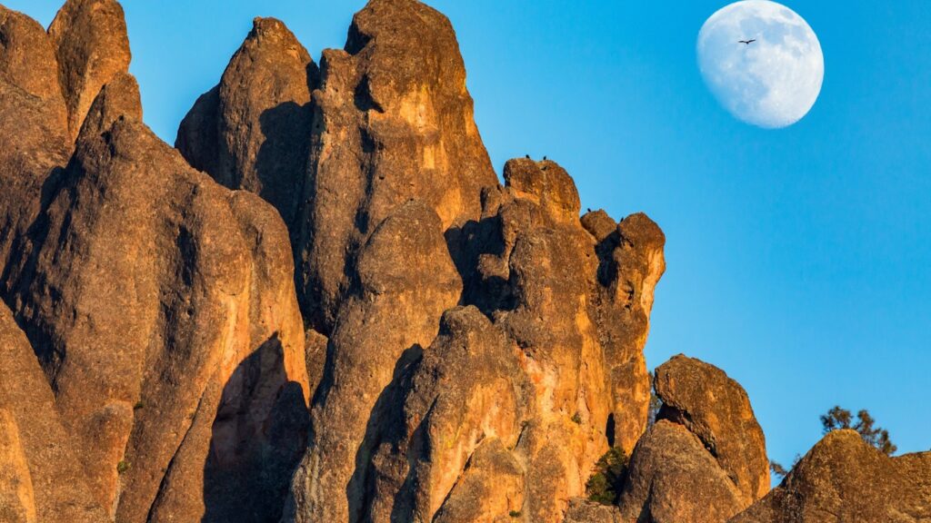 Explore 9 Must-Visit Rewilding Projects in U.S. National Parks | Go ...