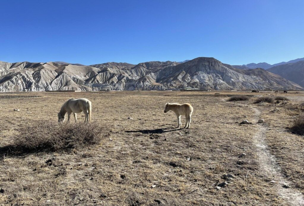 Learn to Say ‘Hello’ in 40 Different European Languages | Go Travel Daily